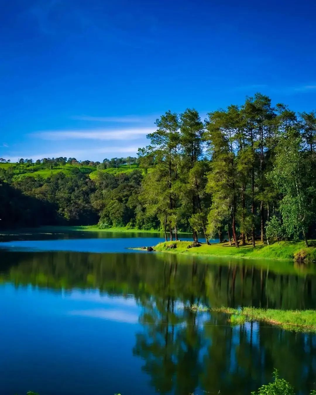 Harga Tiket Masuk Danau Situ Patenggang - Travels.id